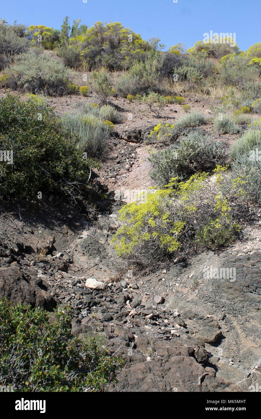 09-02-17. Rim Trail Stock Photo - Alamy