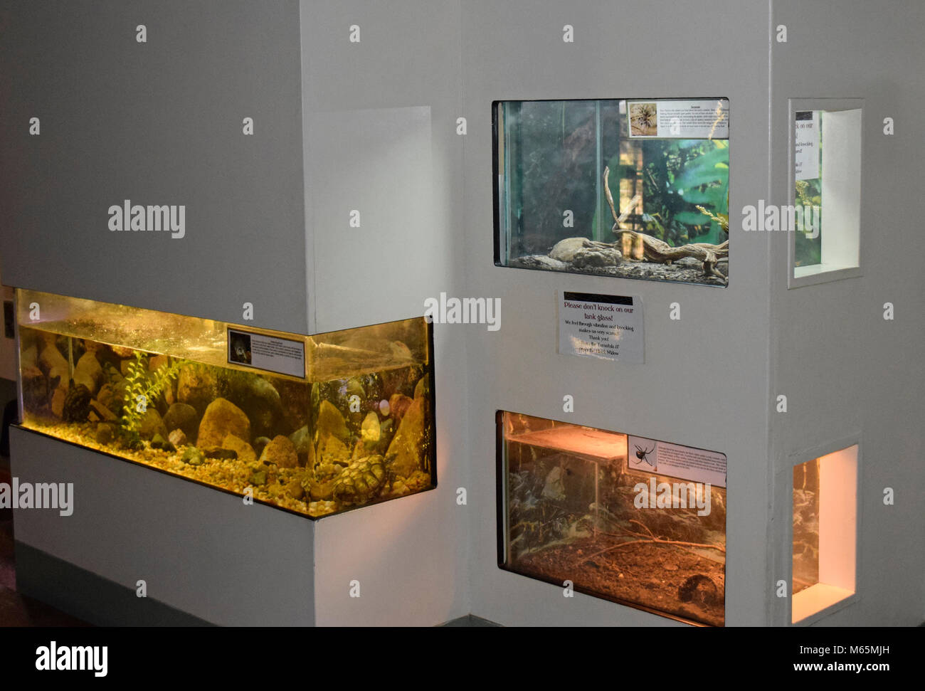 Sulphur Creek Nature center animal exhibit, sign Hayward, California ...