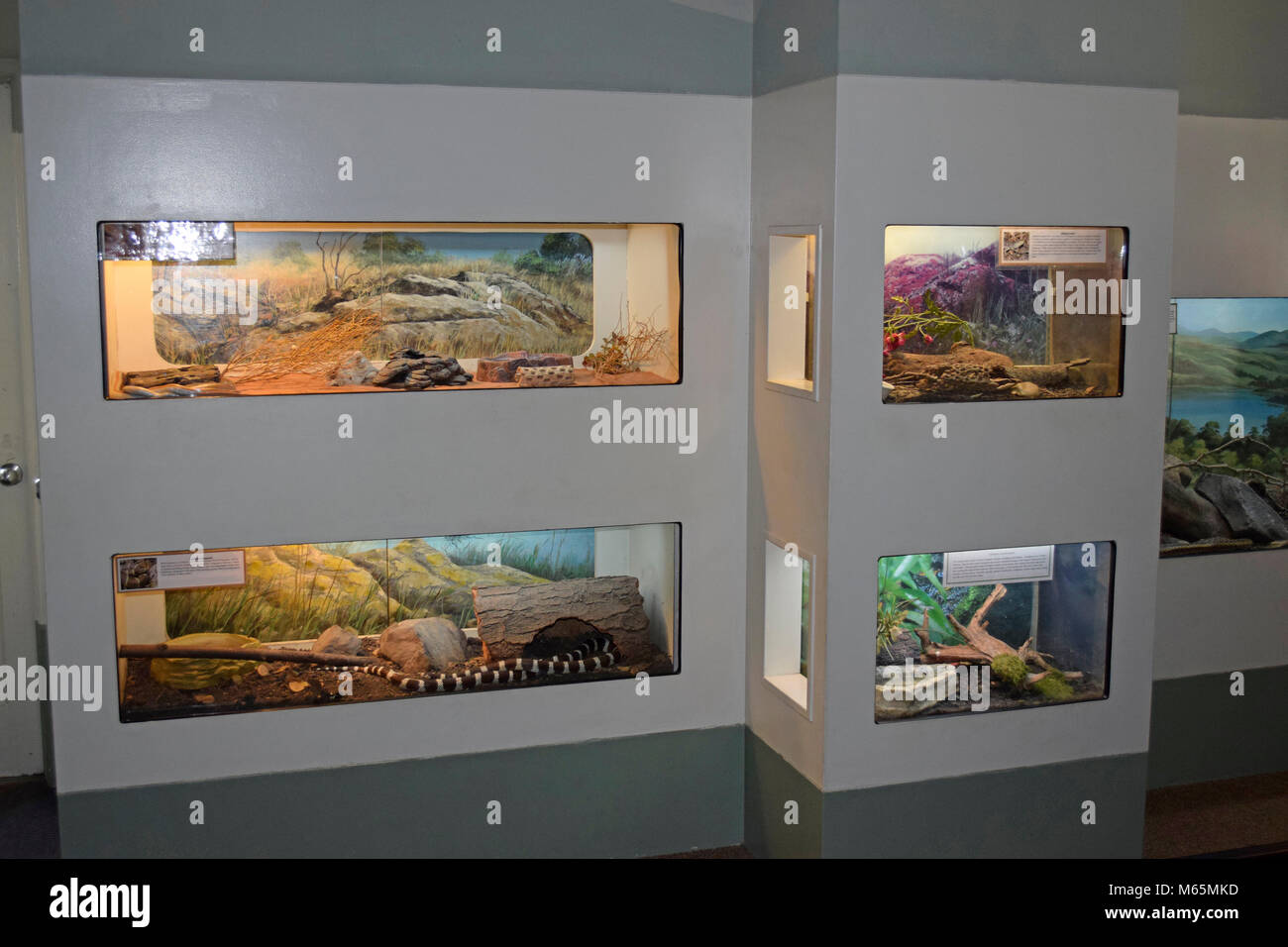 Sulphur Creek Nature center animal exhibit, Hayward, California Stock ...