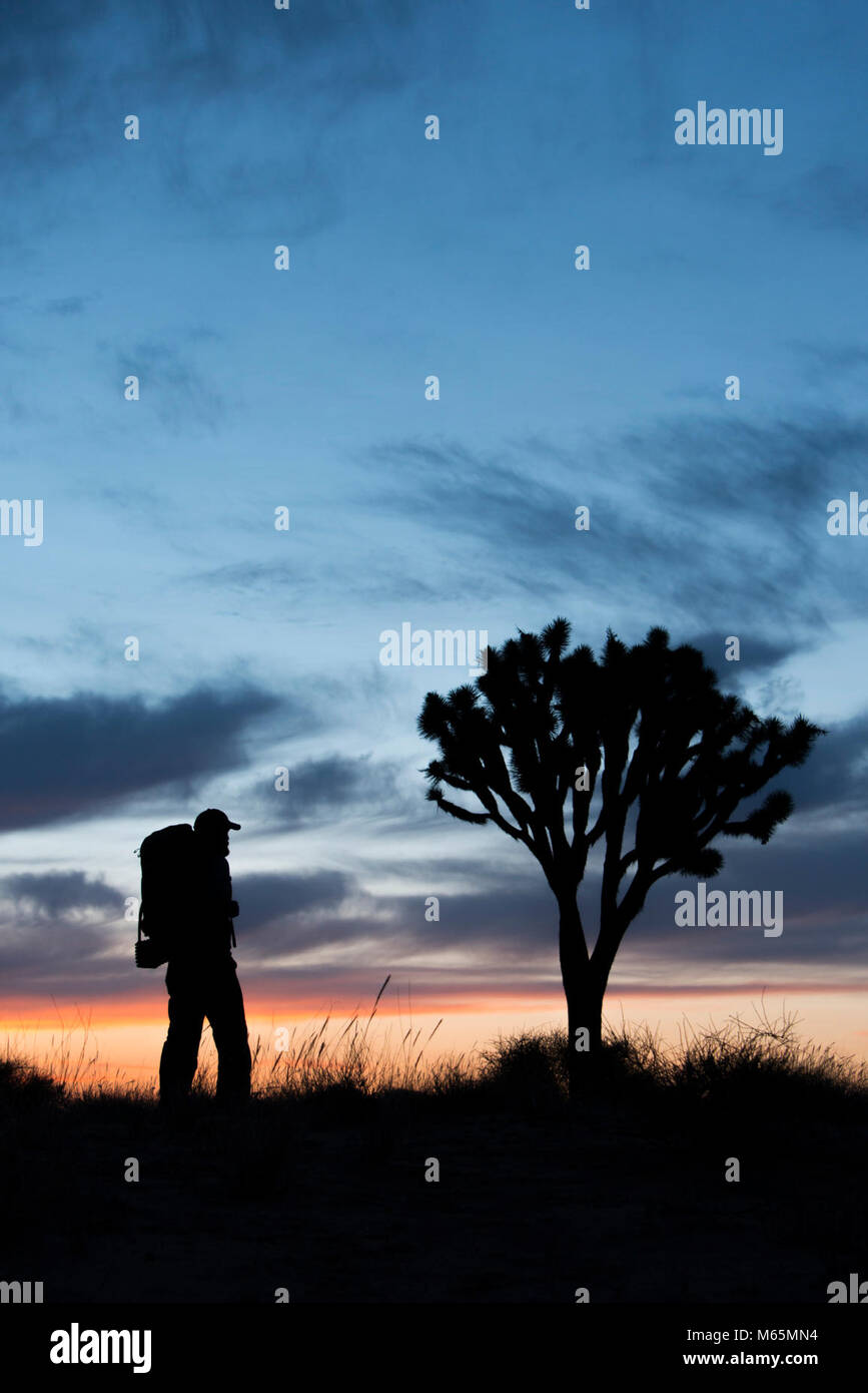 Backpacker at Sunset Stock Photo - Alamy