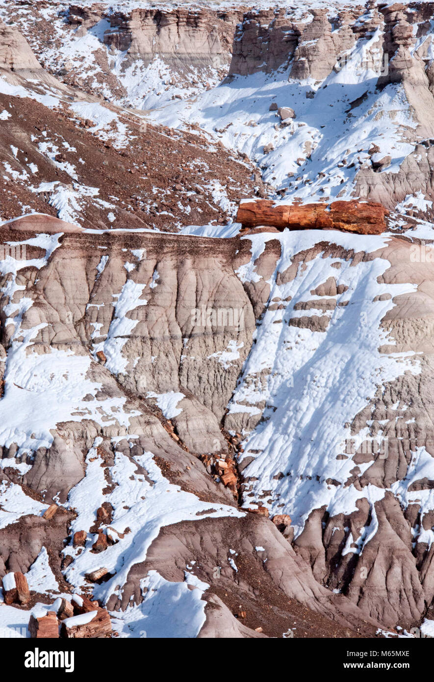 Blue Mesa in the Snow Stock Photo - Alamy