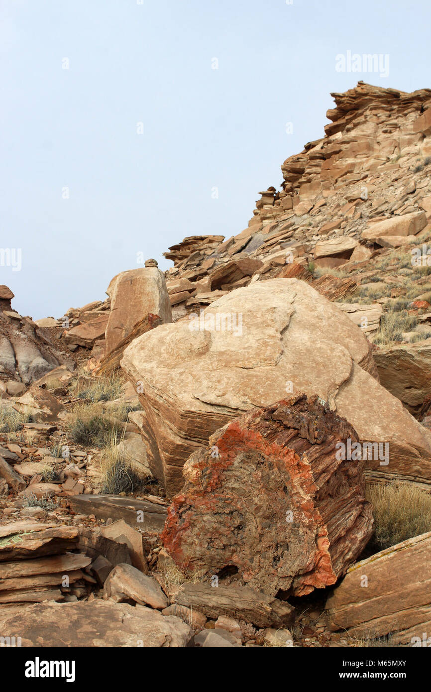 Blue Mesa Petrified Wood Stock Photo - Alamy
