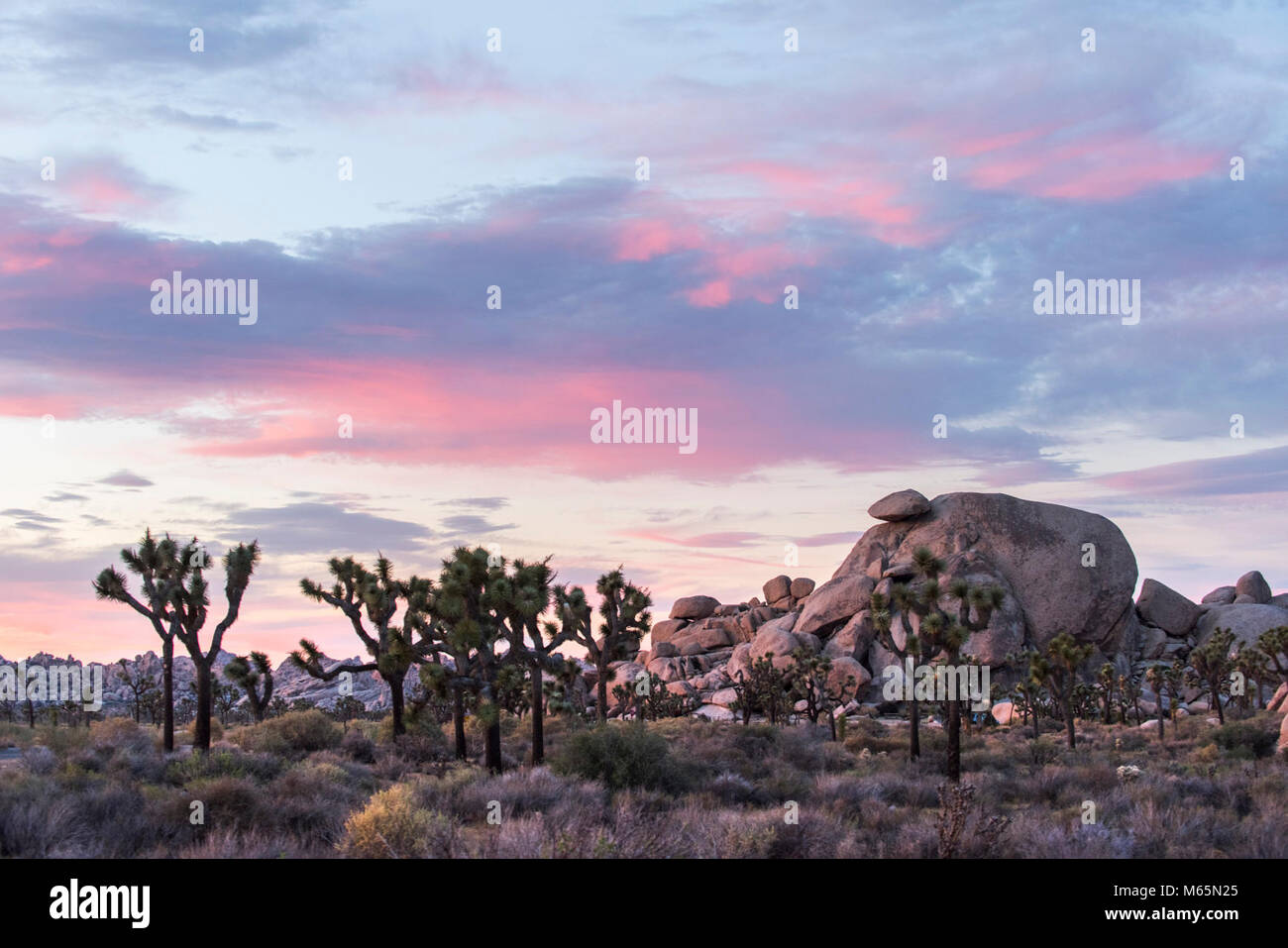 Cap rock joshua tree hi-res stock photography and images - Alamy