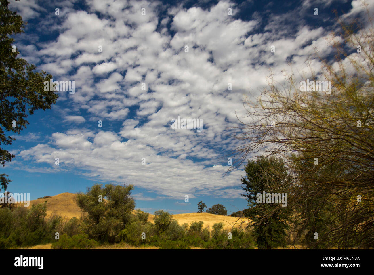 Cheeseboro Canyon. Morrison Ranch is located in Cheeseboro Canyon. This ...