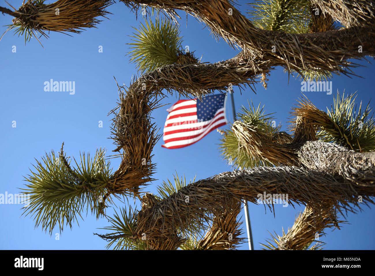 Flag at Black Rock Stock Photo - Alamy