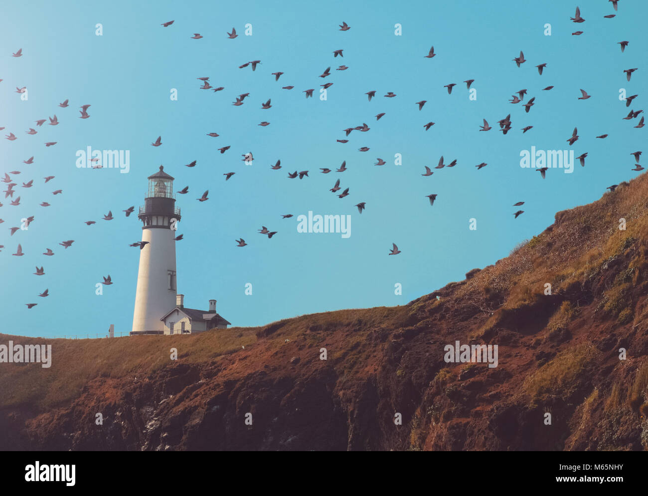 Birds flying around lighthouse hi-res stock photography and images - Alamy
