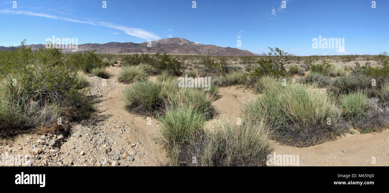 Grass near Turkey Flats Stock Photo - Alamy