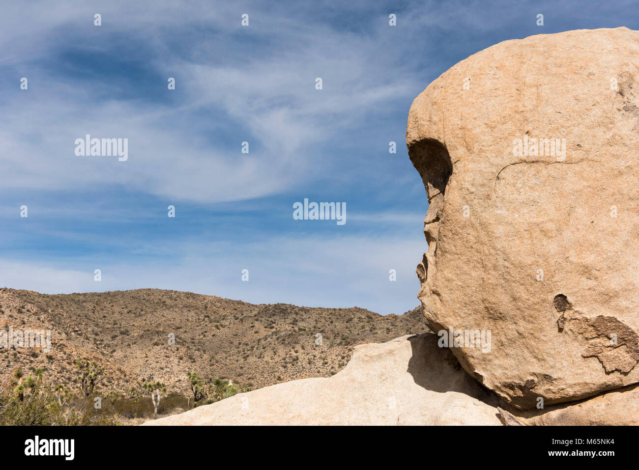 Grumpy horse hi-res stock photography and images - Alamy