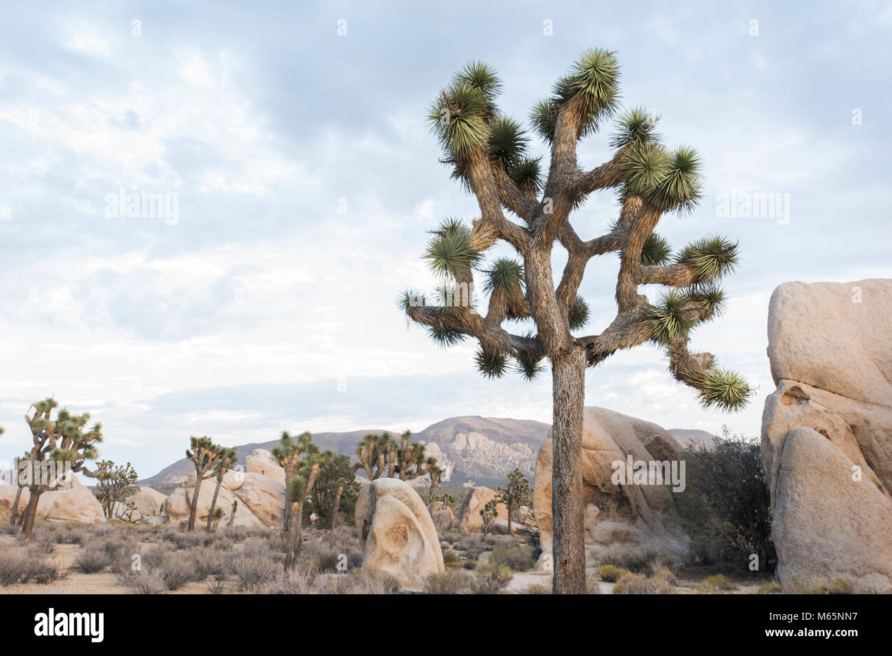 Hidden Valley View Stock Photo - Alamy