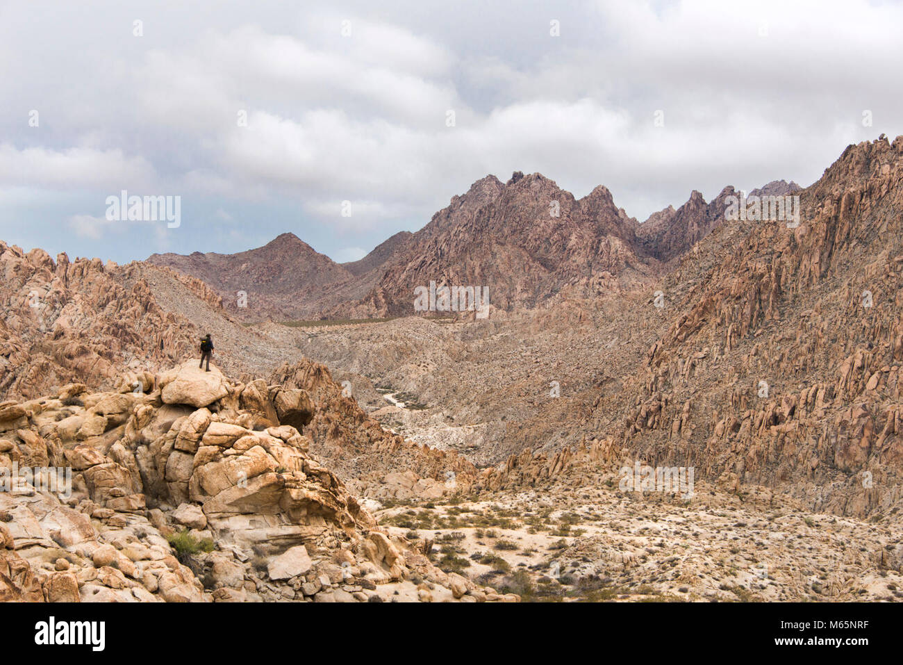Hiking in the Coxcomb Mountains Stock Photo - Alamy