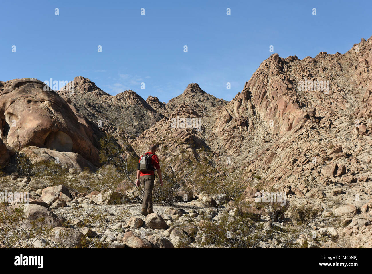 Hiking in the Coxcomb Mountains Stock Photo - Alamy