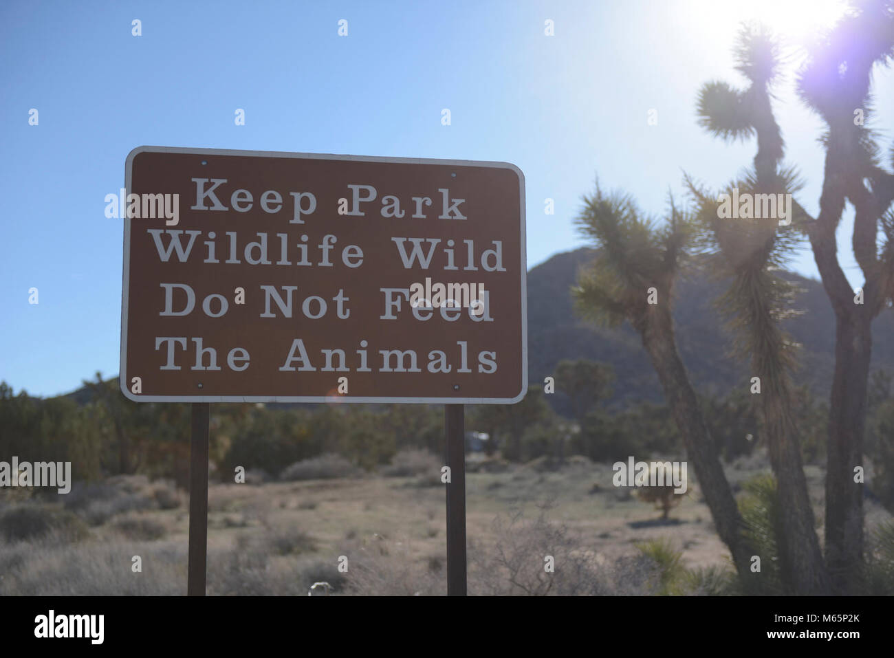Keep Wildlife Wild Sign Stock Photo - Alamy