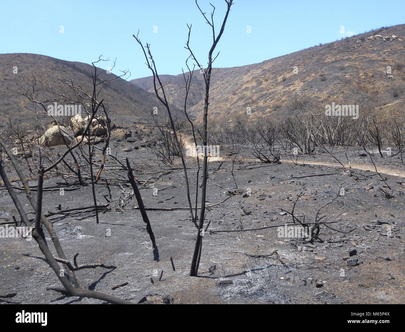 Fireline hi-res stock photography and images - Alamy