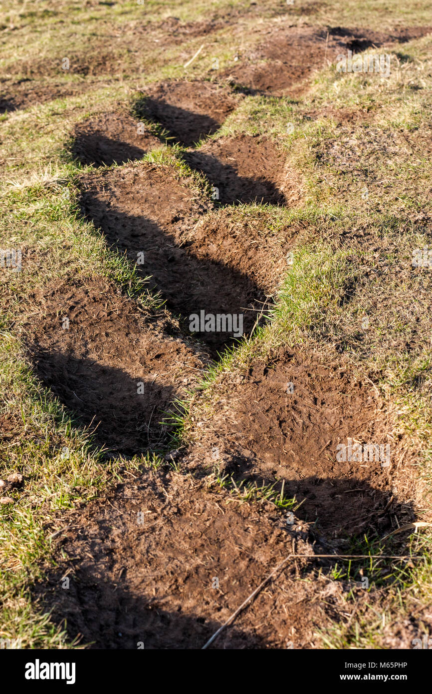path erosion from walkers on Scotlands Dumgoyne hill Stock Photo - Alamy