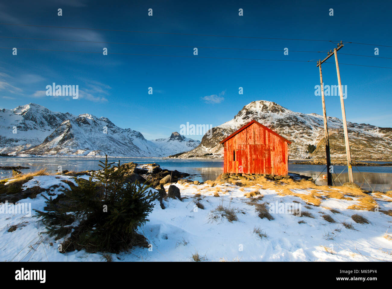 Red hut with small fir tree near water and mountains Stock Photo - Alamy