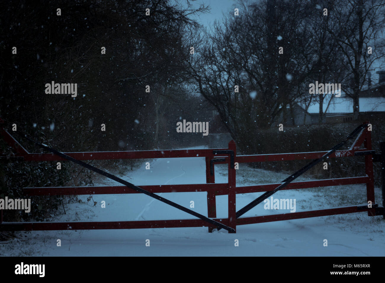 Pictures of my backyard in the Winter Stock Photo - Alamy