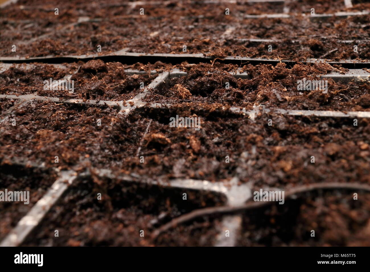 Compost trays hi-res stock photography and images - Alamy