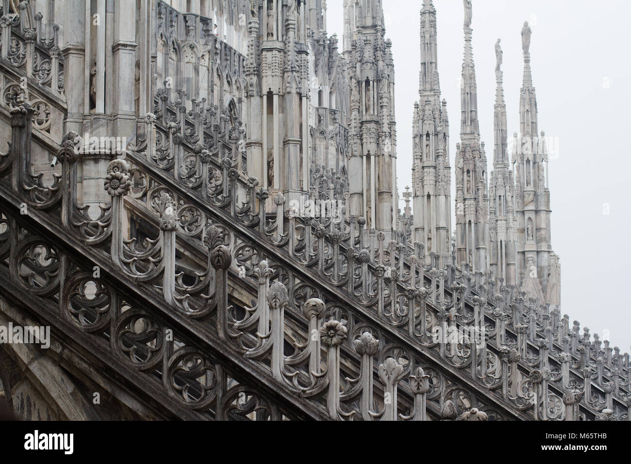 horizontal perspective view of columns statues and towers on gothic ...