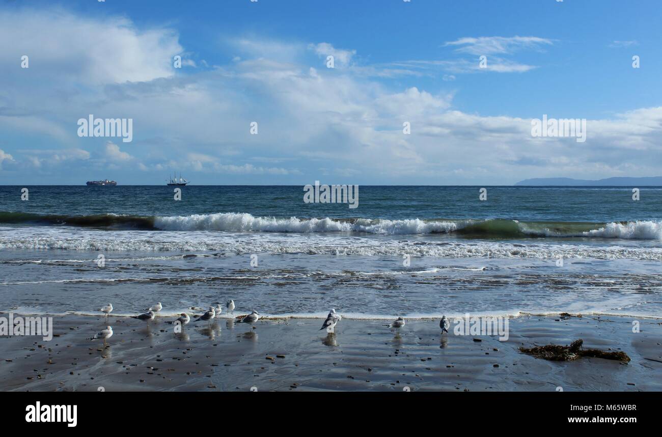 Cabrillo Beach, San Pedro, Los Angeles, California Stock Photo - Alamy