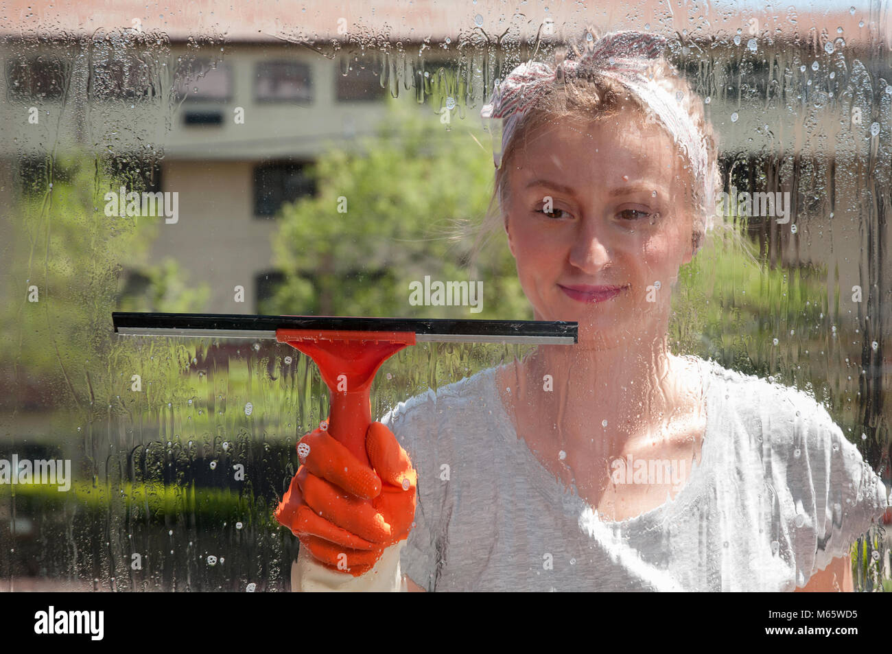 Smiling attractive wife washing window hi-res stock photography and ...