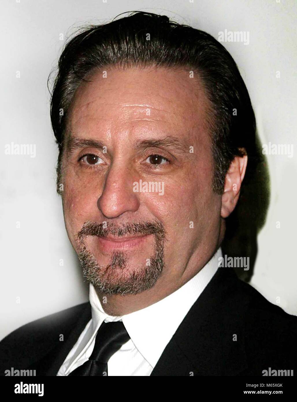 New York City 2004 FILE PHOTO RON SILVER Photo by John Barrett-PHOTOlink Stock Photo - Alamy