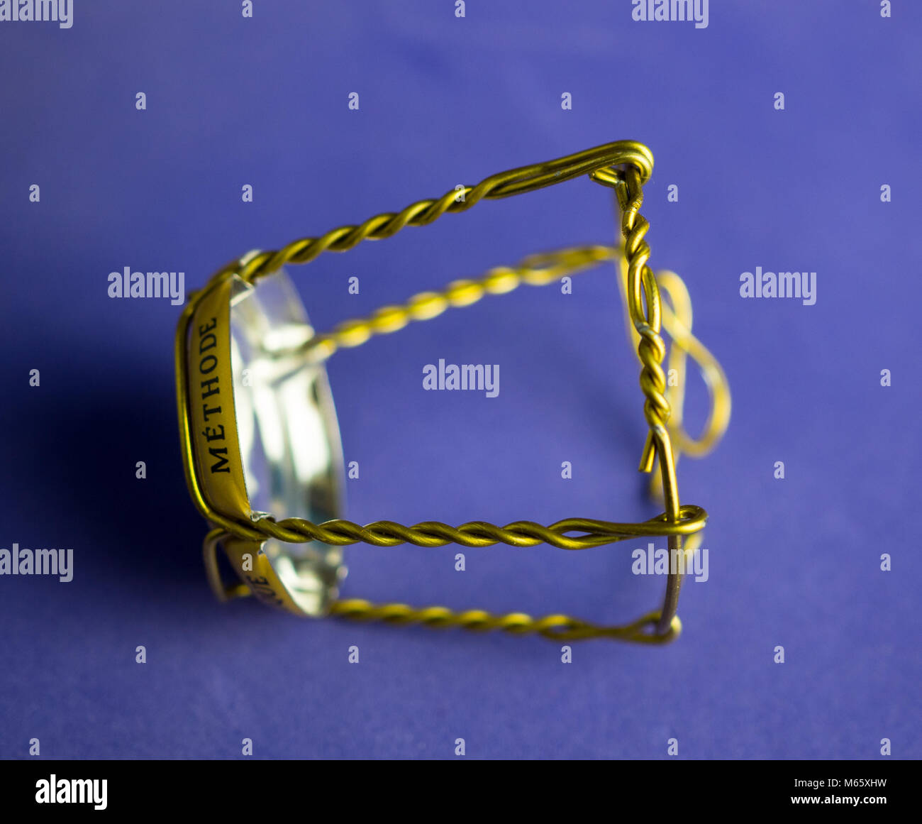 Muselet from bottle of champagne. Isolated on blue background ...