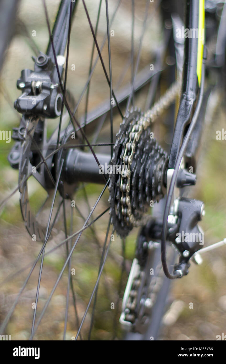 Close up of a Bicycle rear wheel with details, chain and gearshift ...