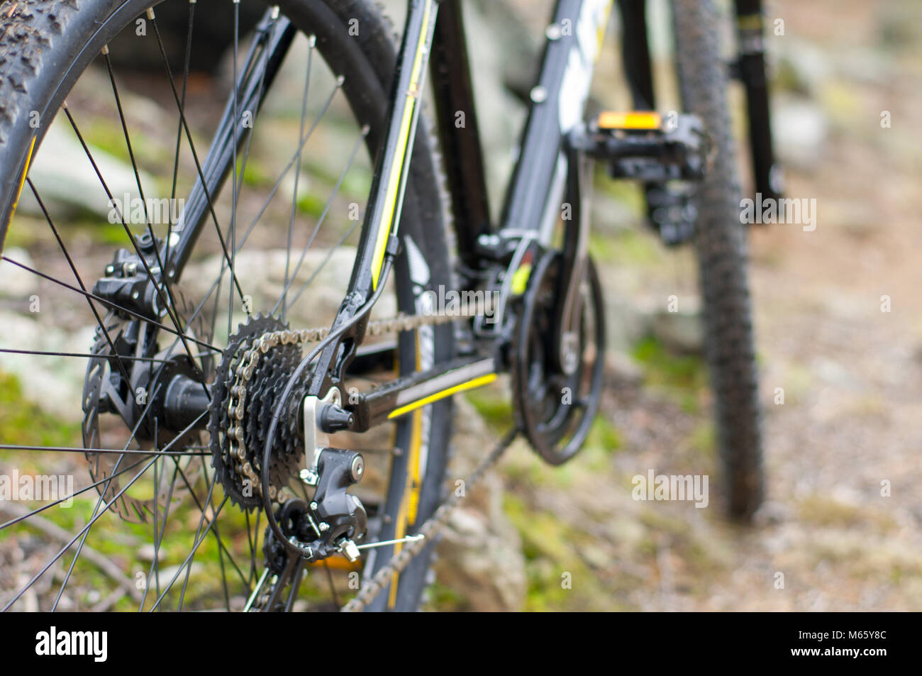 Close up of a Bicycle rear wheel with details, chain and gearshift ...