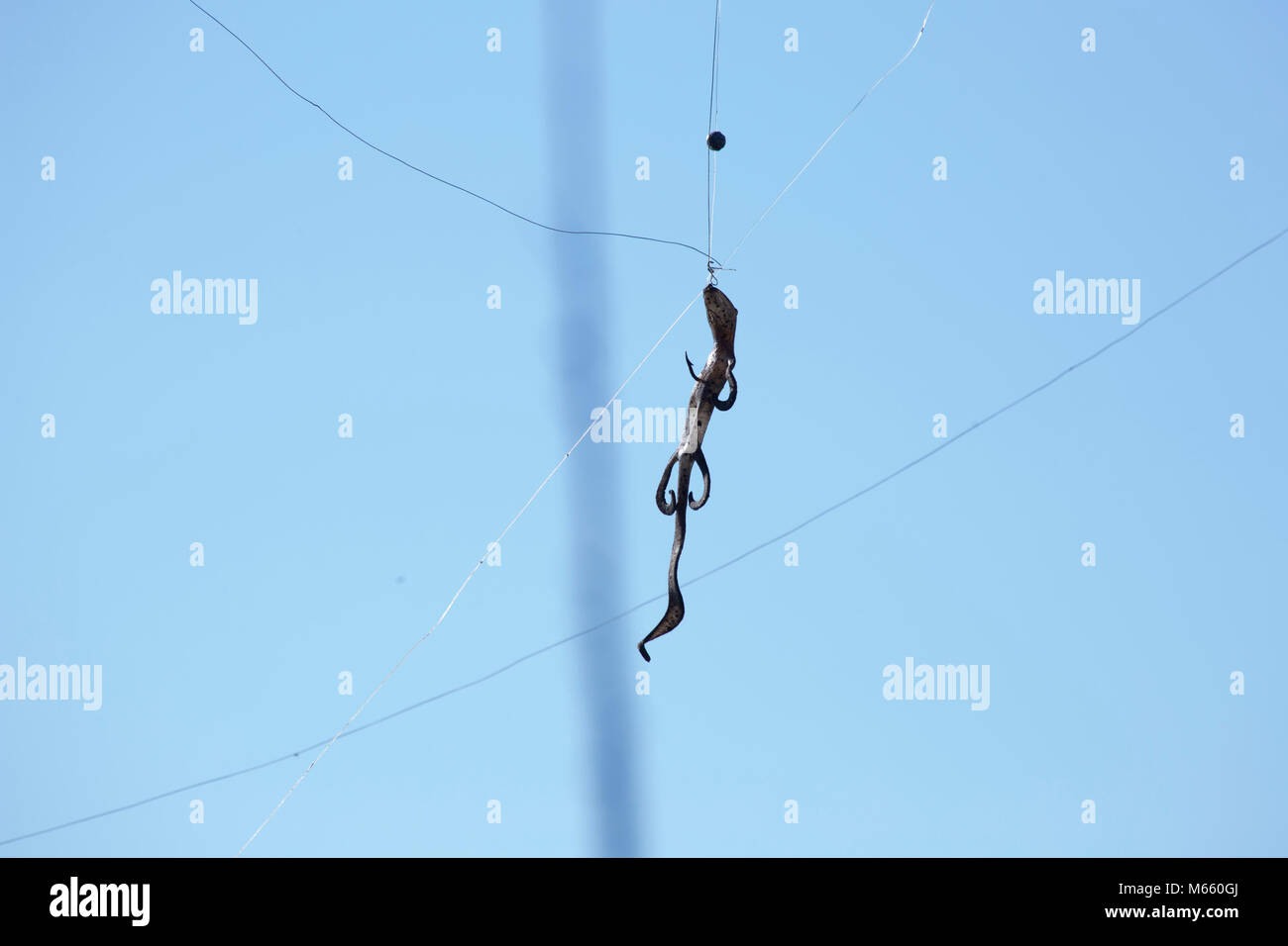 Plastic snagged tree hi-res stock photography and images - Alamy