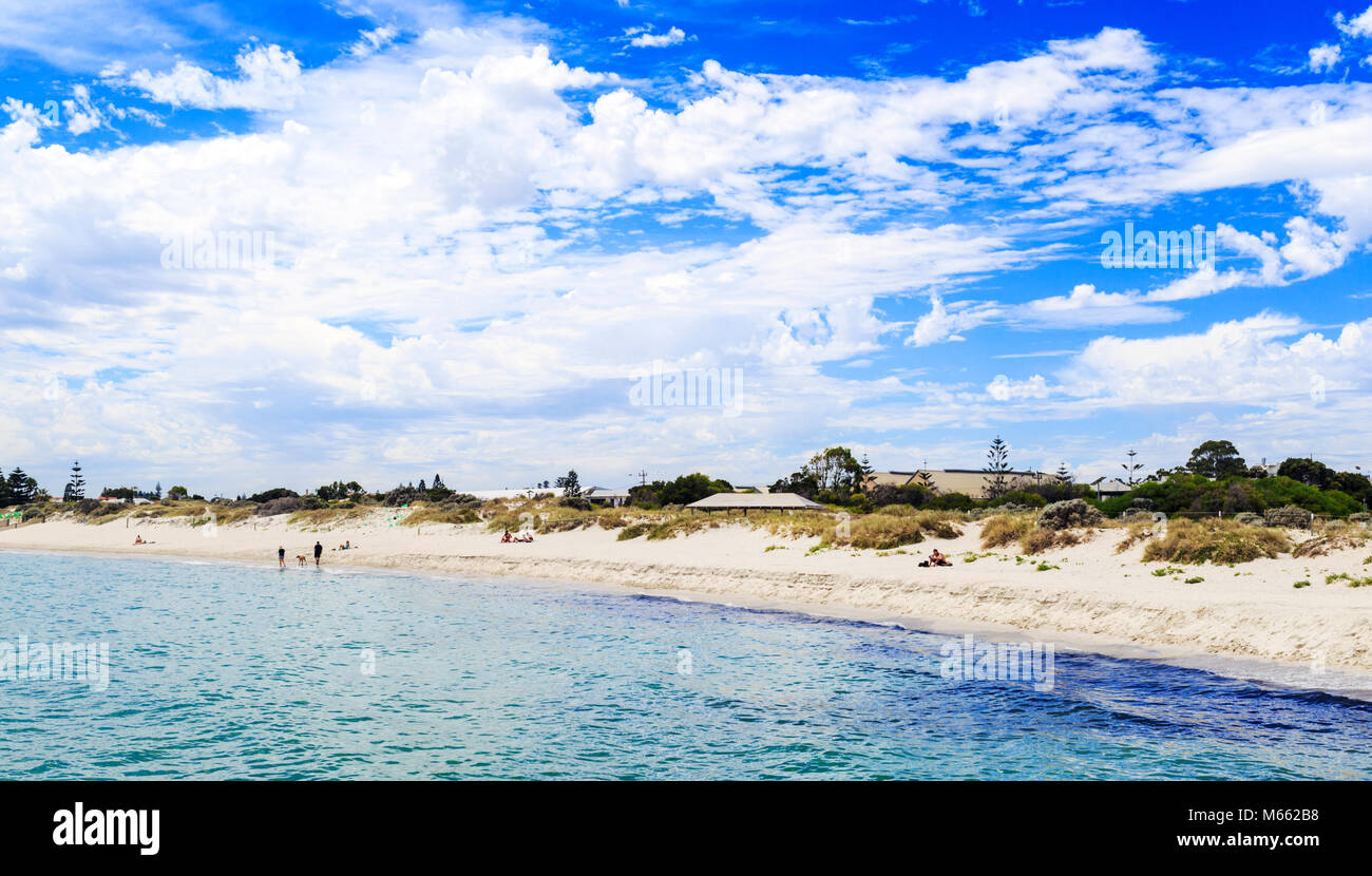 Perth dog beach hi-res stock photography and images - Alamy