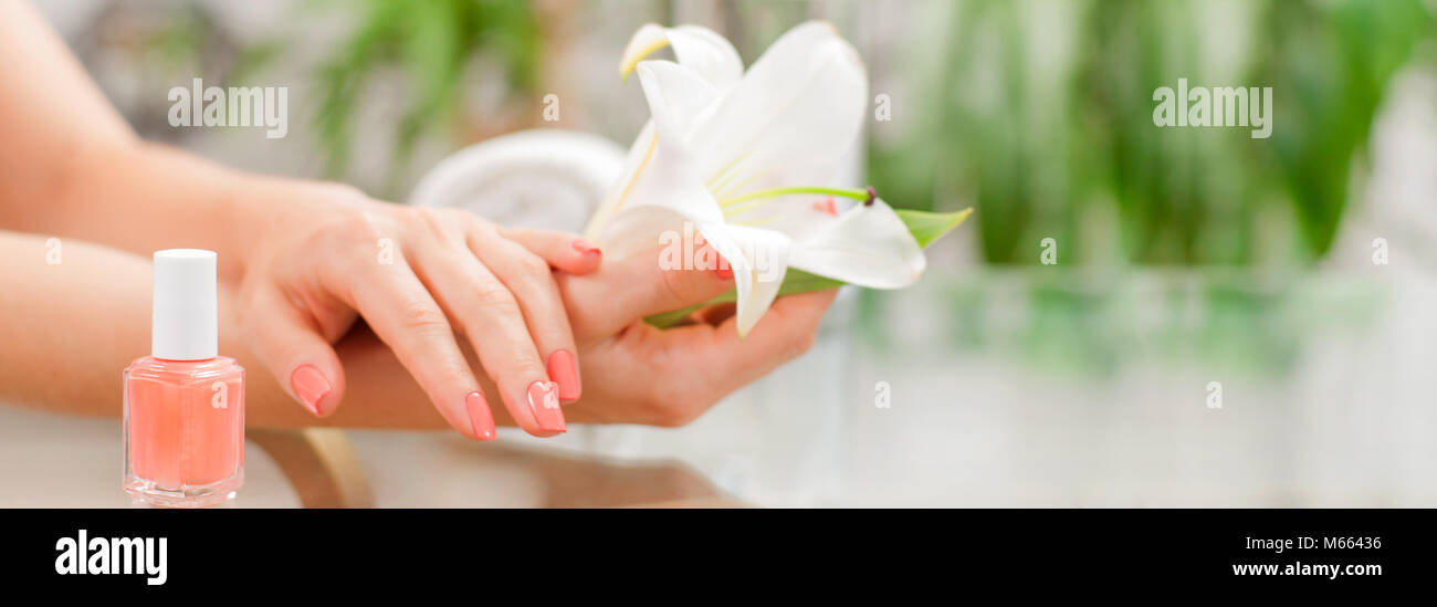 Manicure concept. Hand care at the spa. Beautiful woman's hands with ...