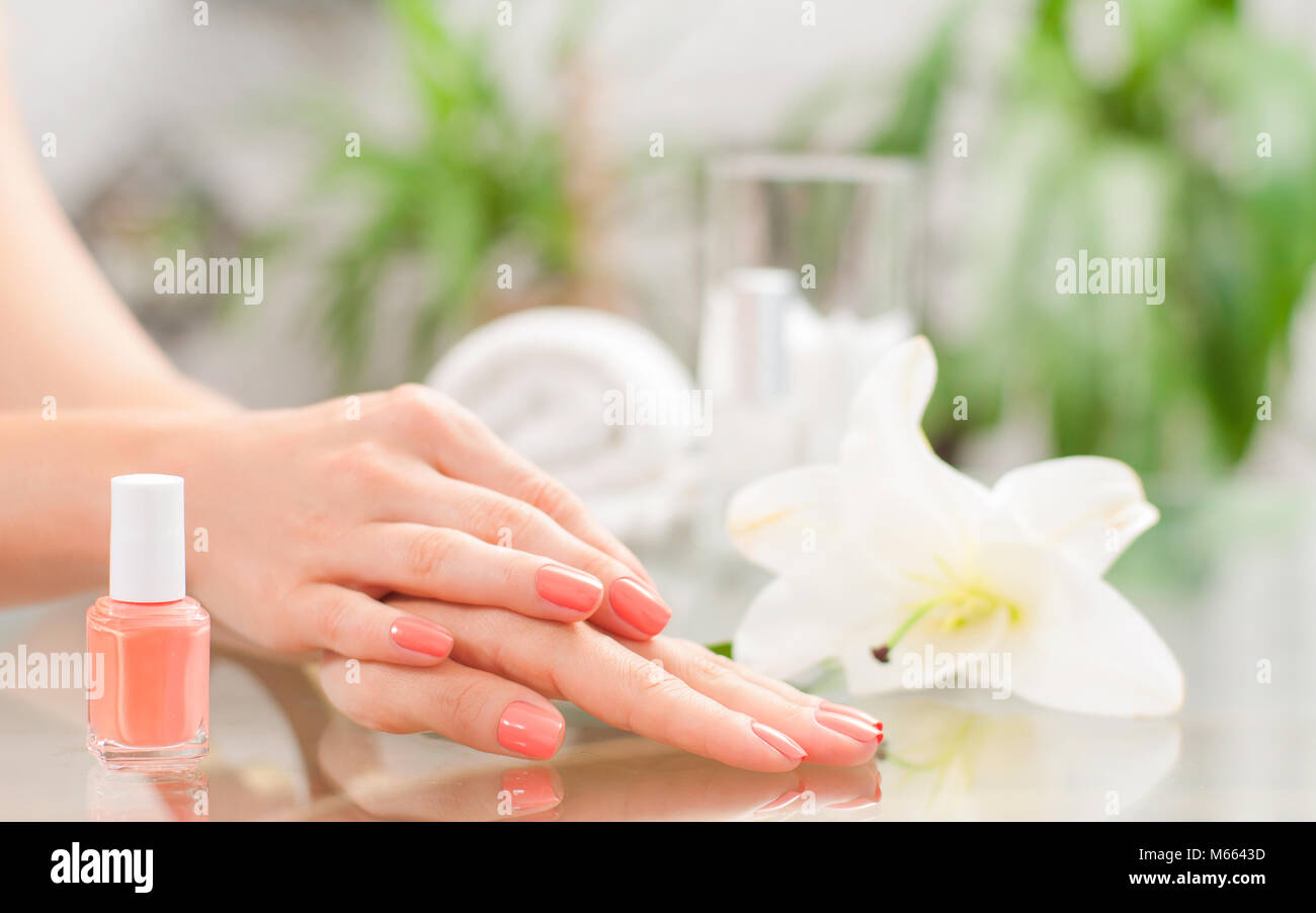 Manicure concept. Hand care at the spa. Beautiful woman's hands with ...
