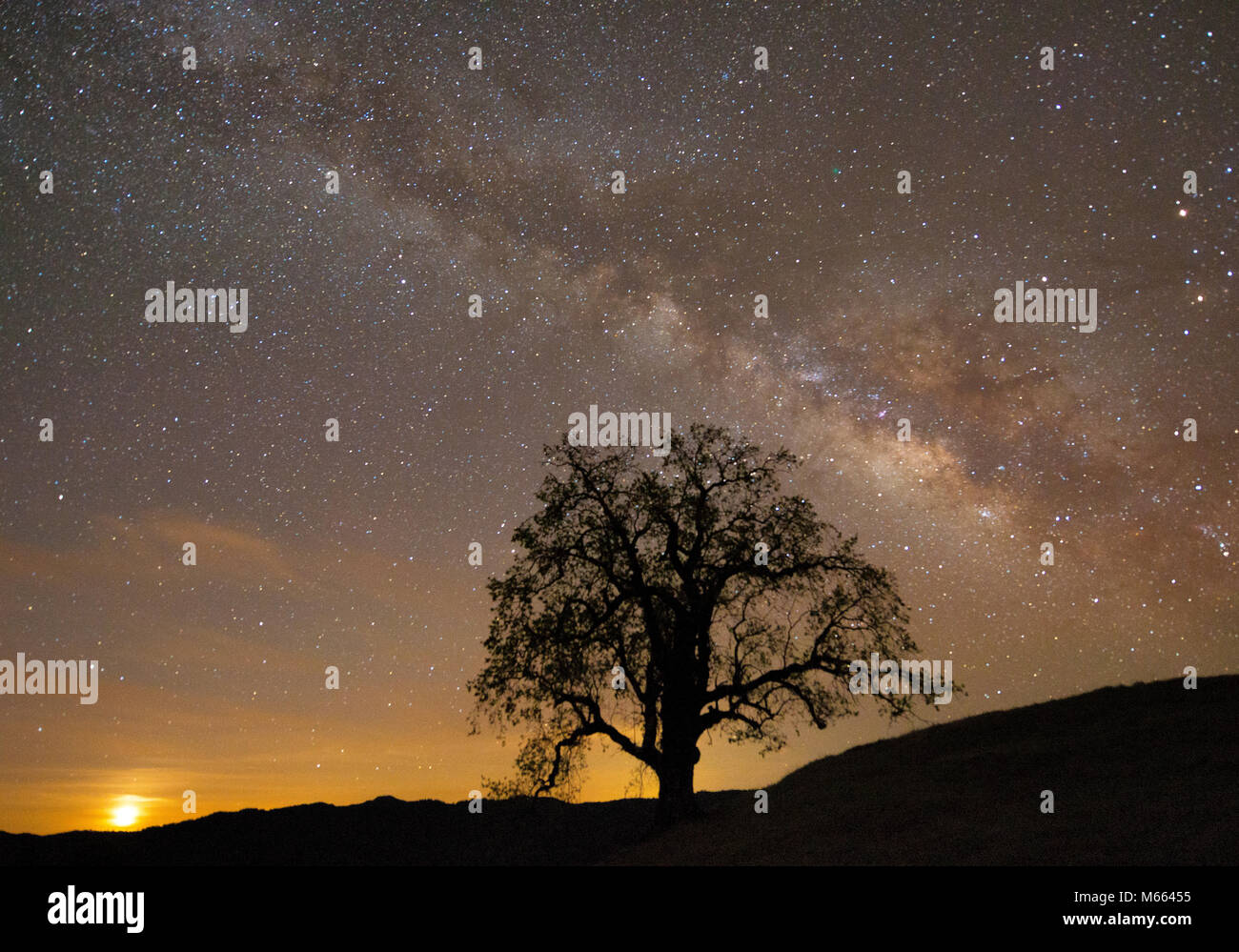 Big ares hi-res stock photography and images - Alamy