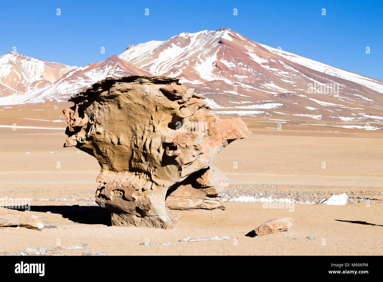 Arbol panorama hi-res stock photography and images - Alamy