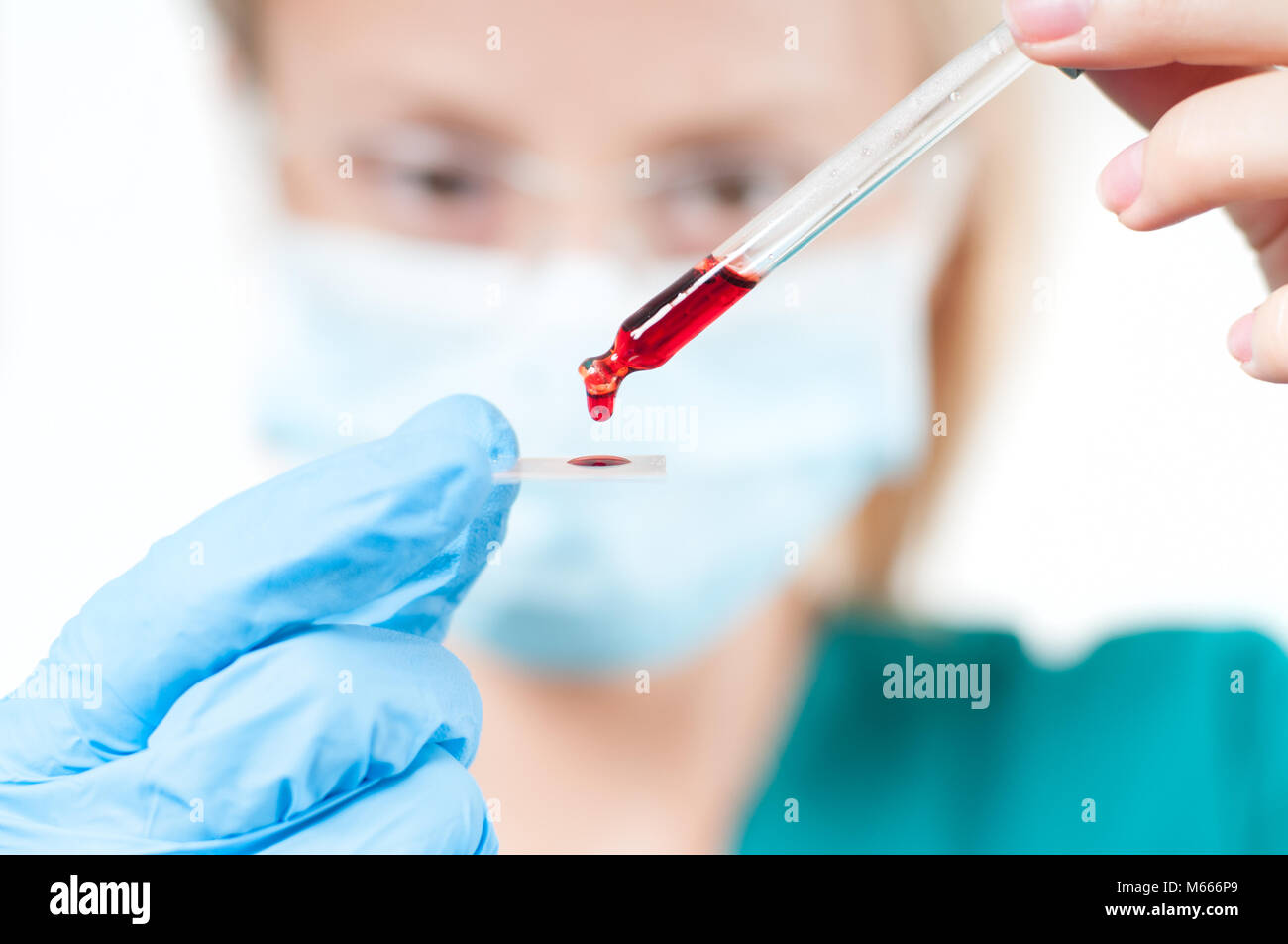 Female doctor doing the blood test in medical laboratory Stock Photo ...