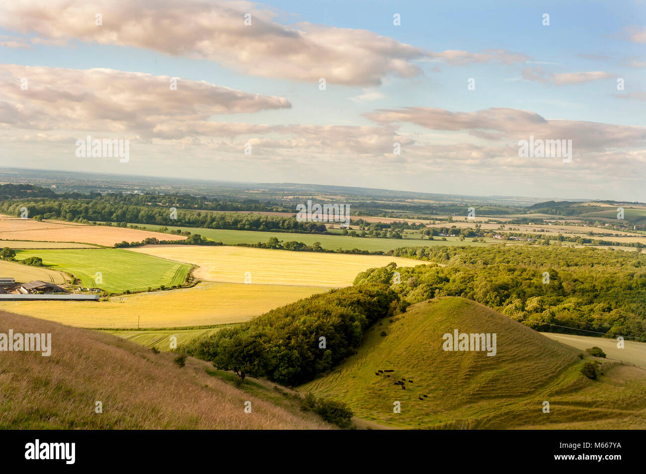 Coubtryside - Warminster - Wiltshire - UK Stock Photo - Alamy