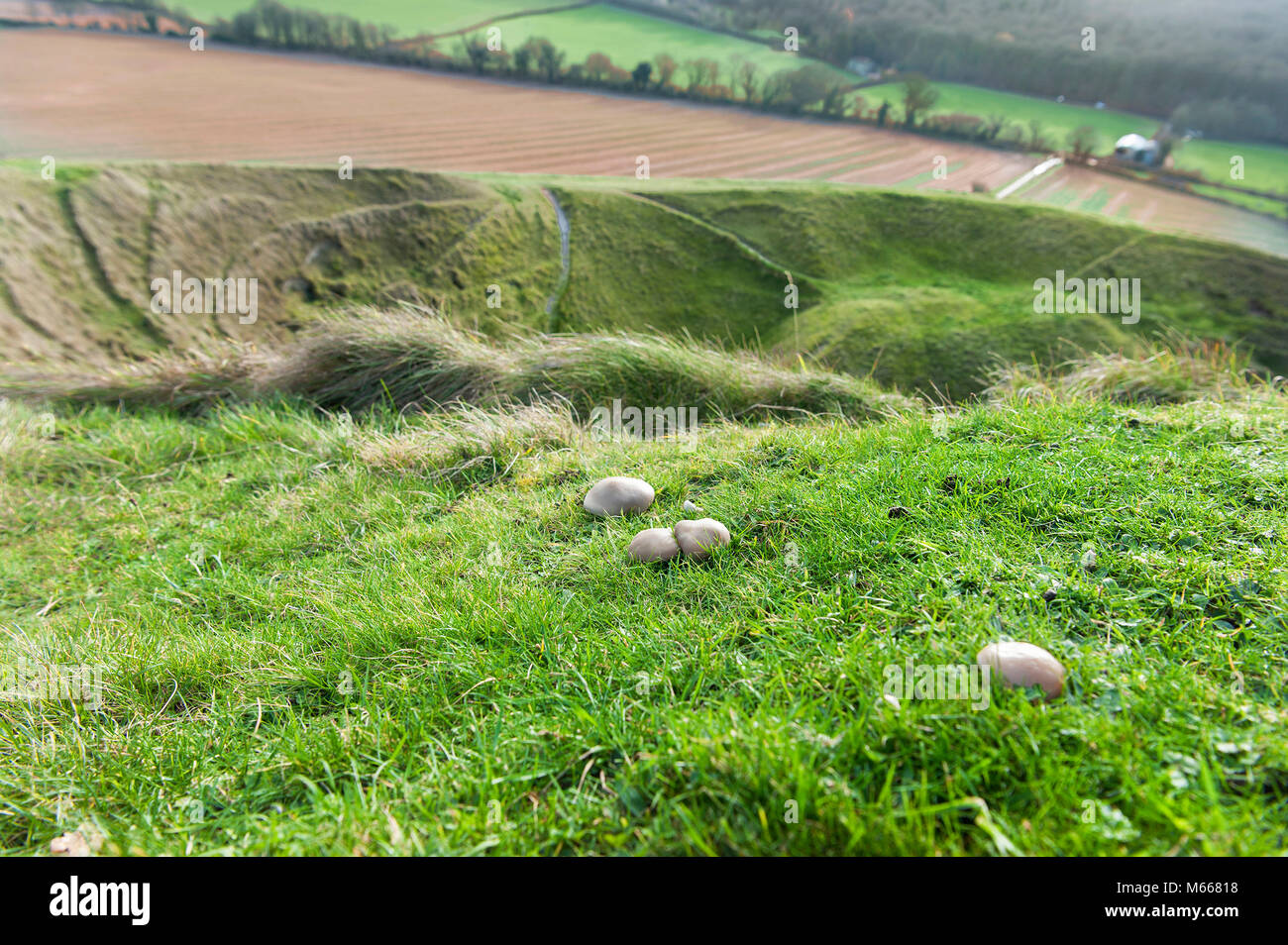 Coubtryside hi-res stock photography and images - Alamy