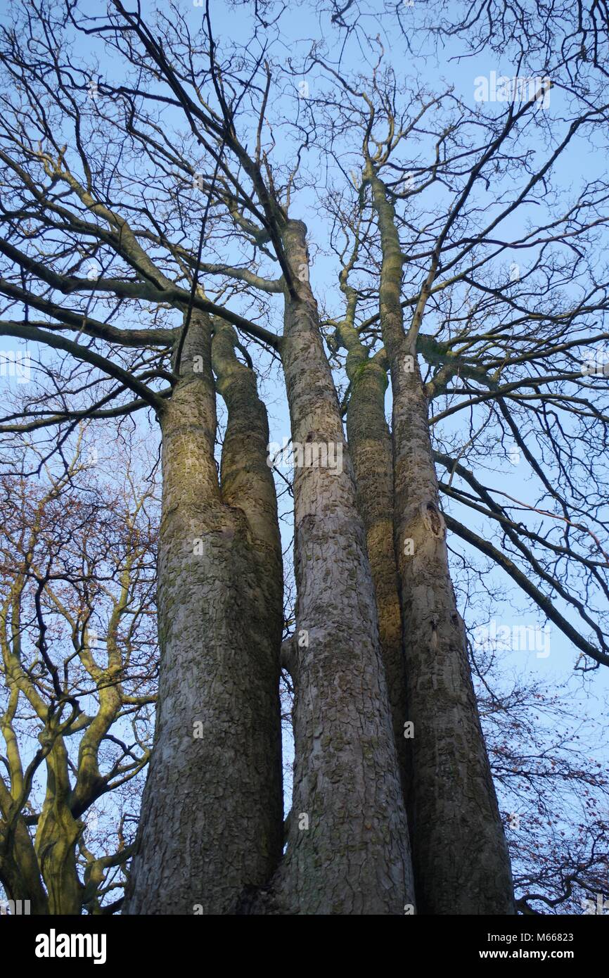 Bollarded hi-res stock photography and images - Alamy