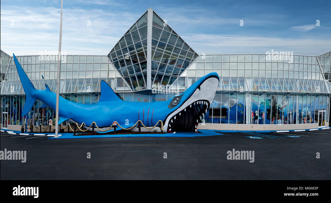 Giant concrete sharks hi-res stock photography and images - Alamy