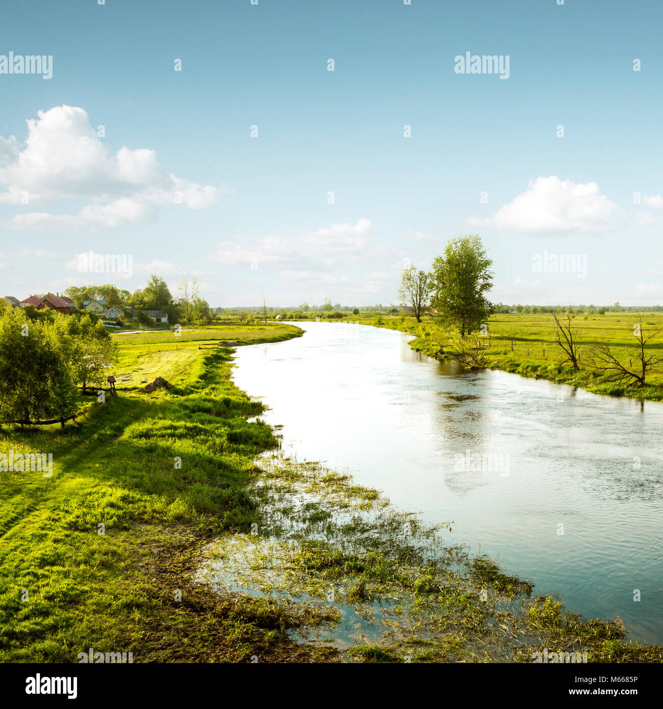 Polish countryside - Biebrza National Park Stock Photo - Alamy