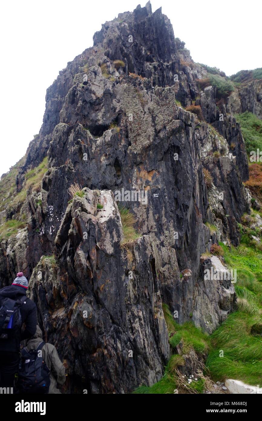 Outcrop of Metamorphic Mudstone on a Cliff along Macduff Beach ...