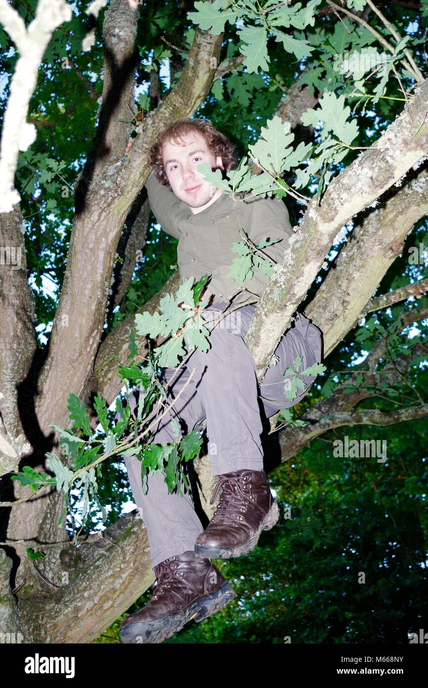 Young Ruggedly Handsome Man Tree Climbing. Ludwell Valley Park, Exeter ...