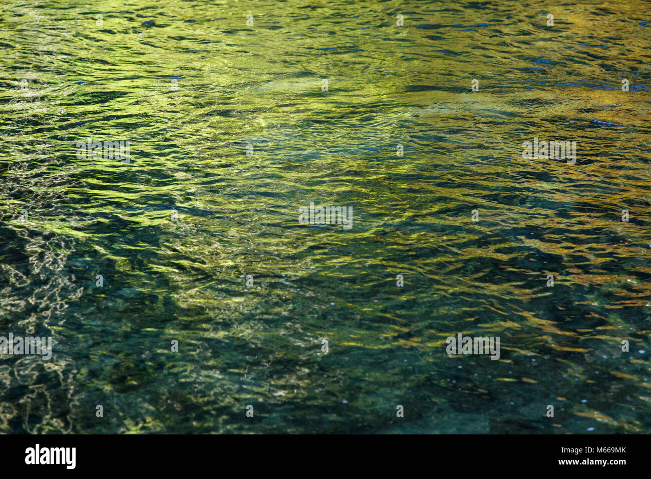 river water nature green wave for background Stock Photo - Alamy