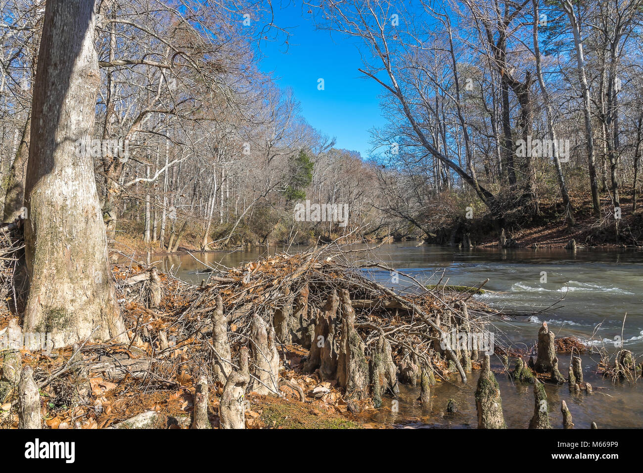 Forest debris that has been carried down river. It has been trapped by ...
