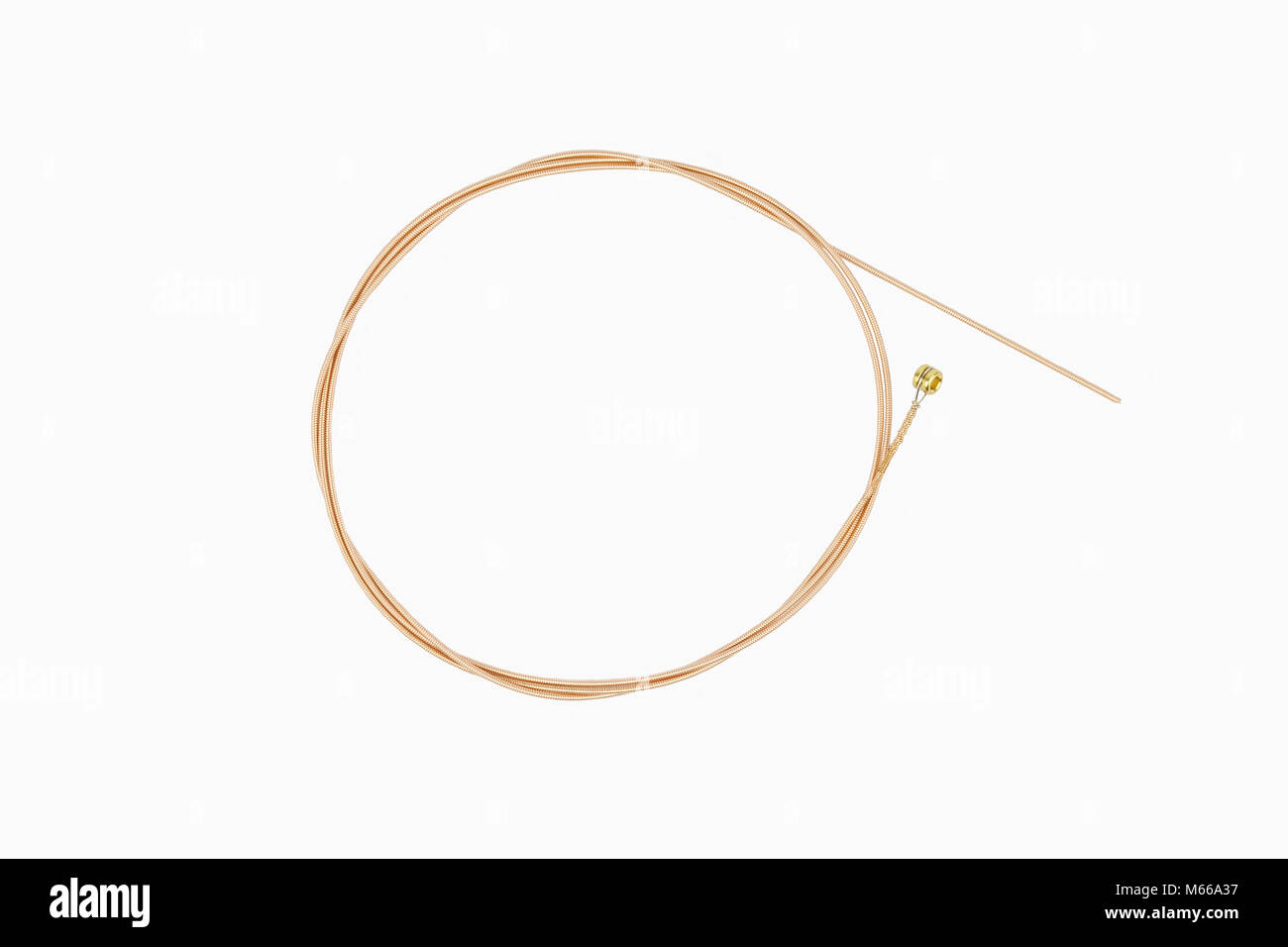 Single guitar hi-res stock photography and images - Alamy