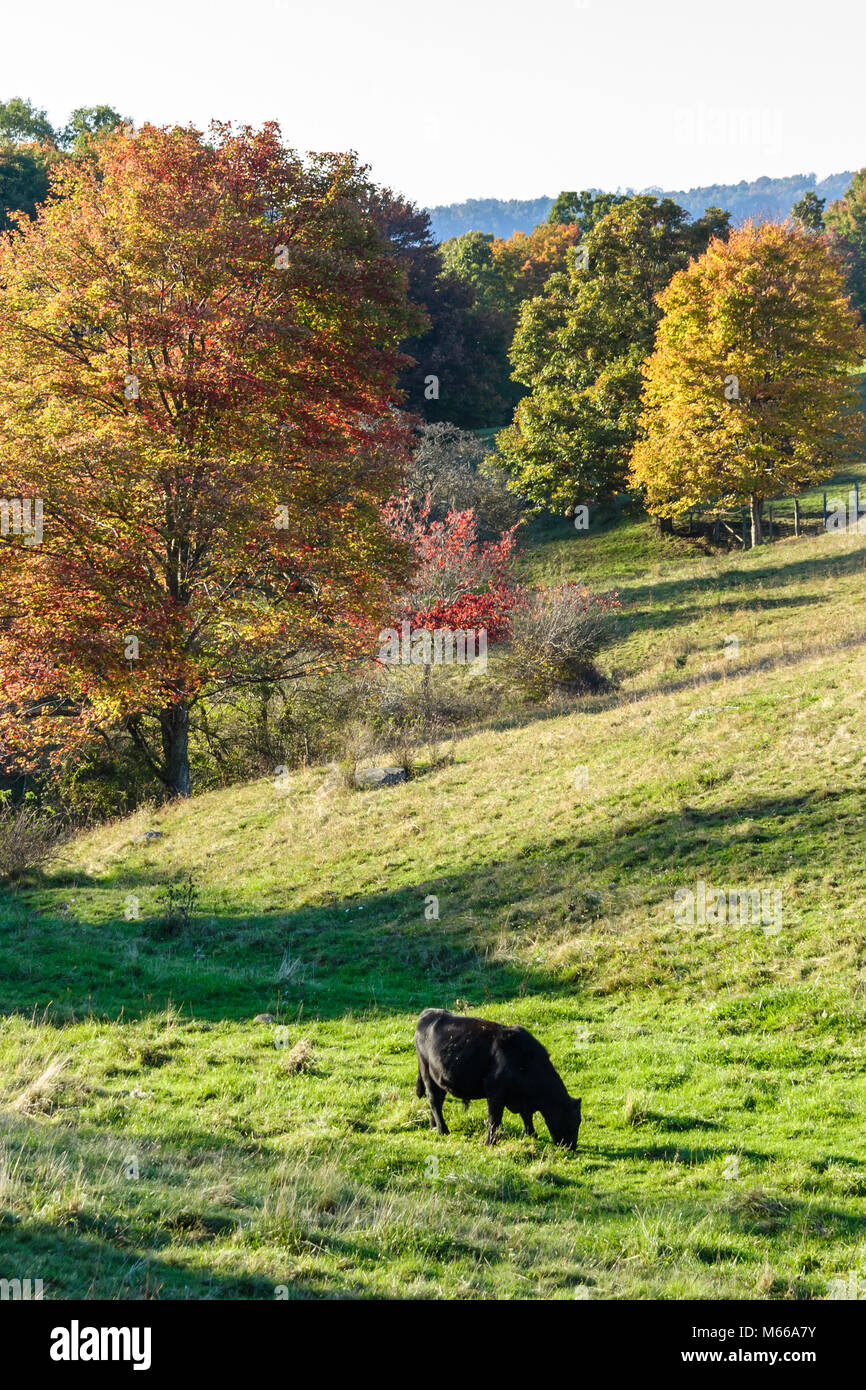 West Virginia,Appalachia Greenbrier County,highway Route 60,Midland ...