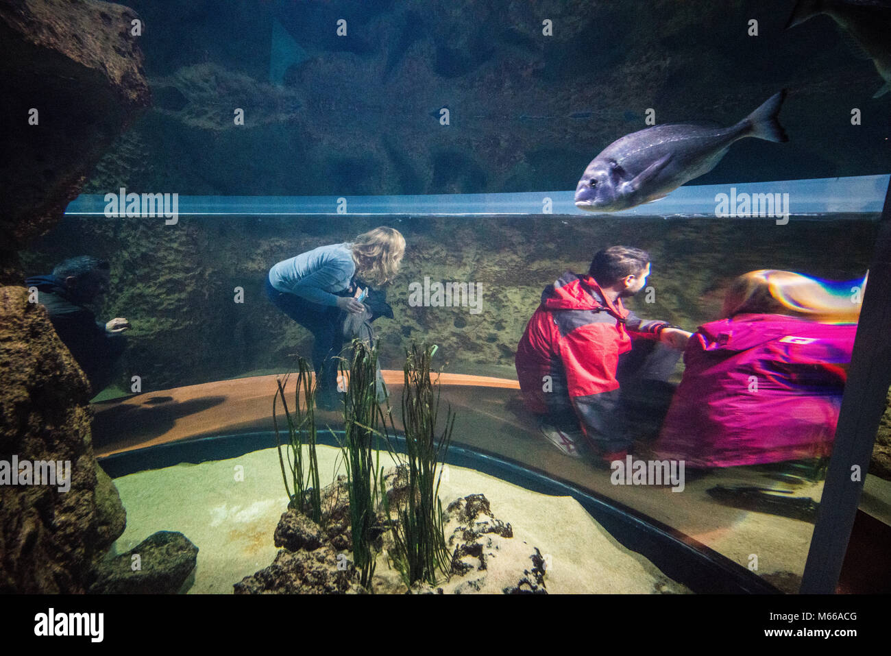 National aquarium of malta hi-res stock photography and images - Alamy