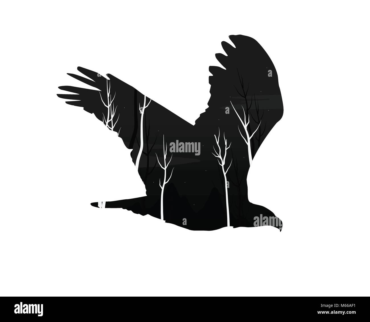 Dark pine forest trees Cut Out Stock Images & Pictures - Alamy