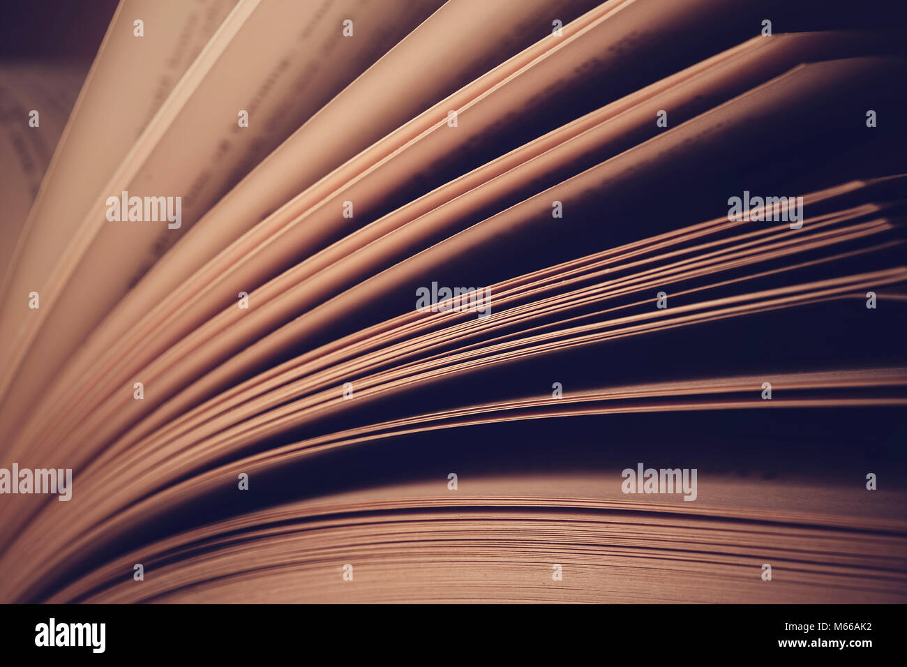 Pages of old book close up Stock Photo - Alamy