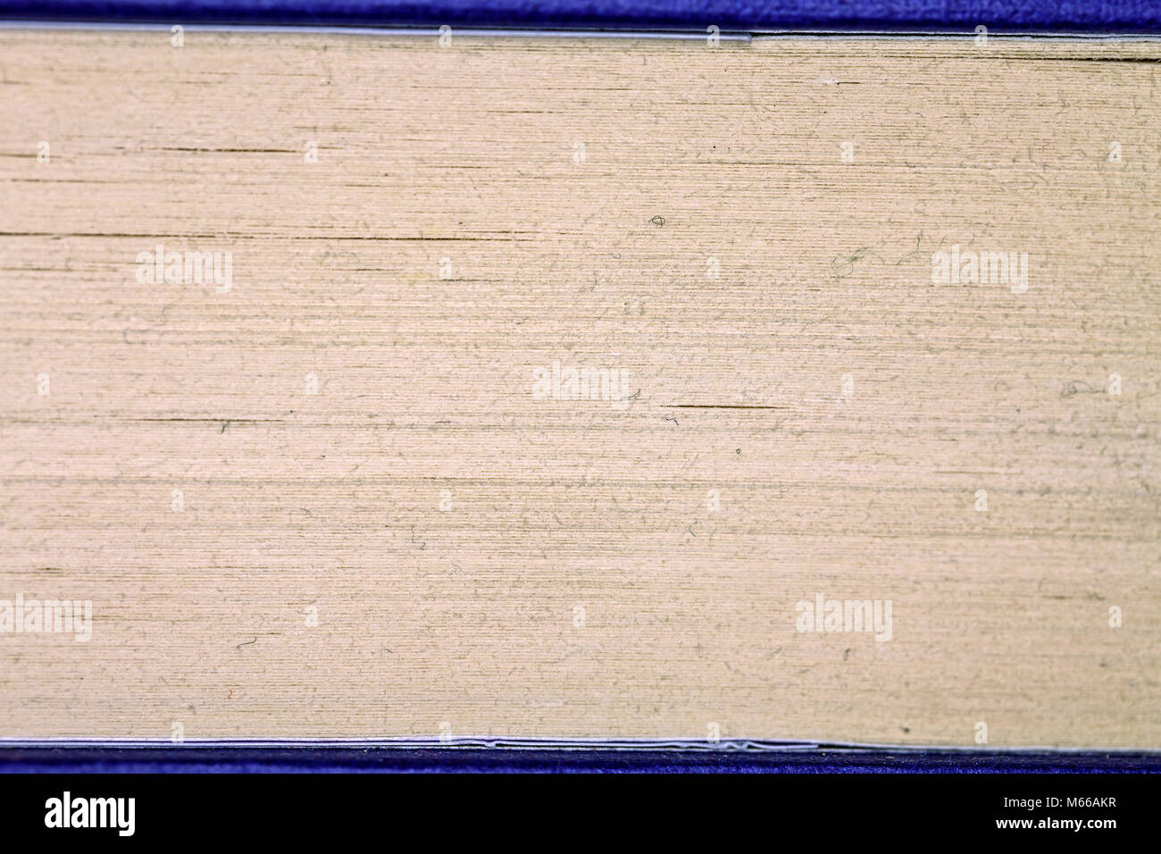 book page background close up Stock Photo - Alamy